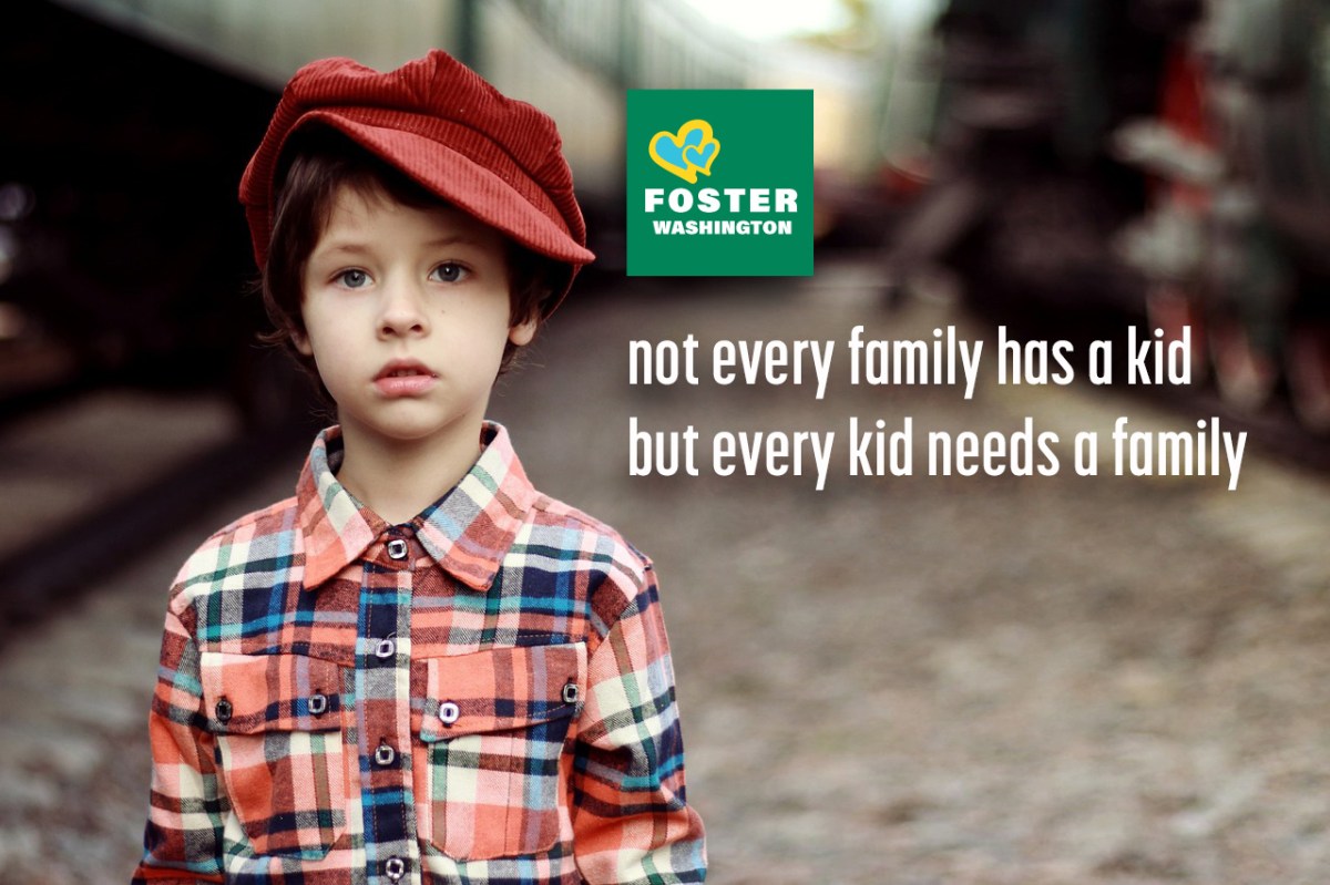 Foster Washington: Enhancing State Foster Care – Mikhail Oparin
